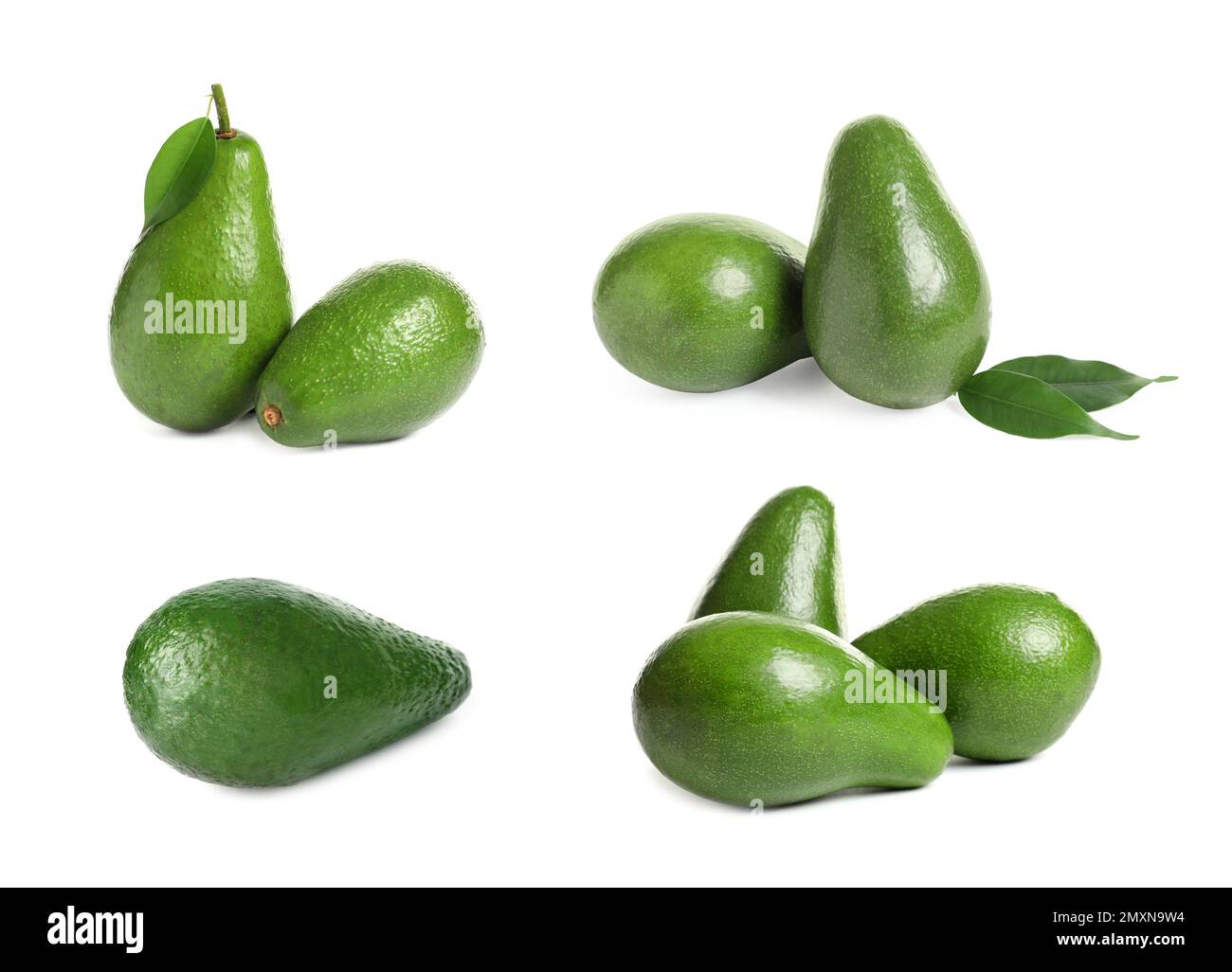 Set of whole avocados on white background Stock Photo - Alamy