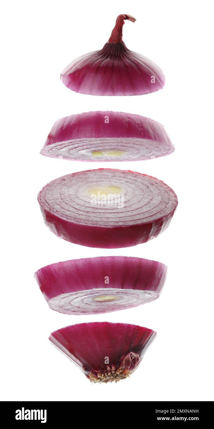 Fresh cut red onion flying on white background Stock Photo - Alamy