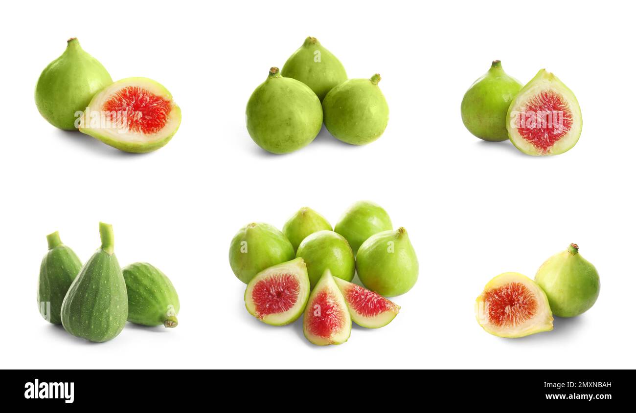 Set of cut and whole green figs on white background. Banner design ...