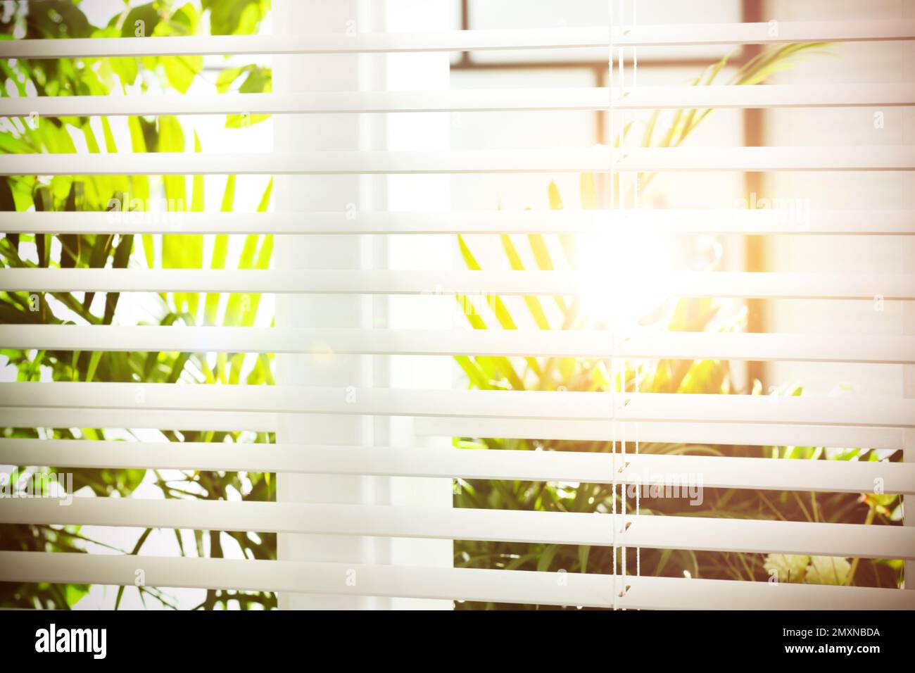 Sunlight shining through window on hi-res stock photography and images ...