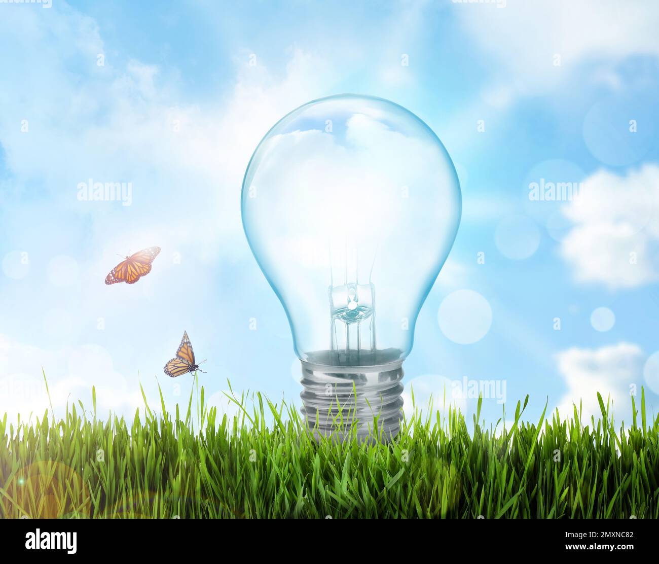 Solar energy concept. Glowing light bulb in green grass and blue sky ...