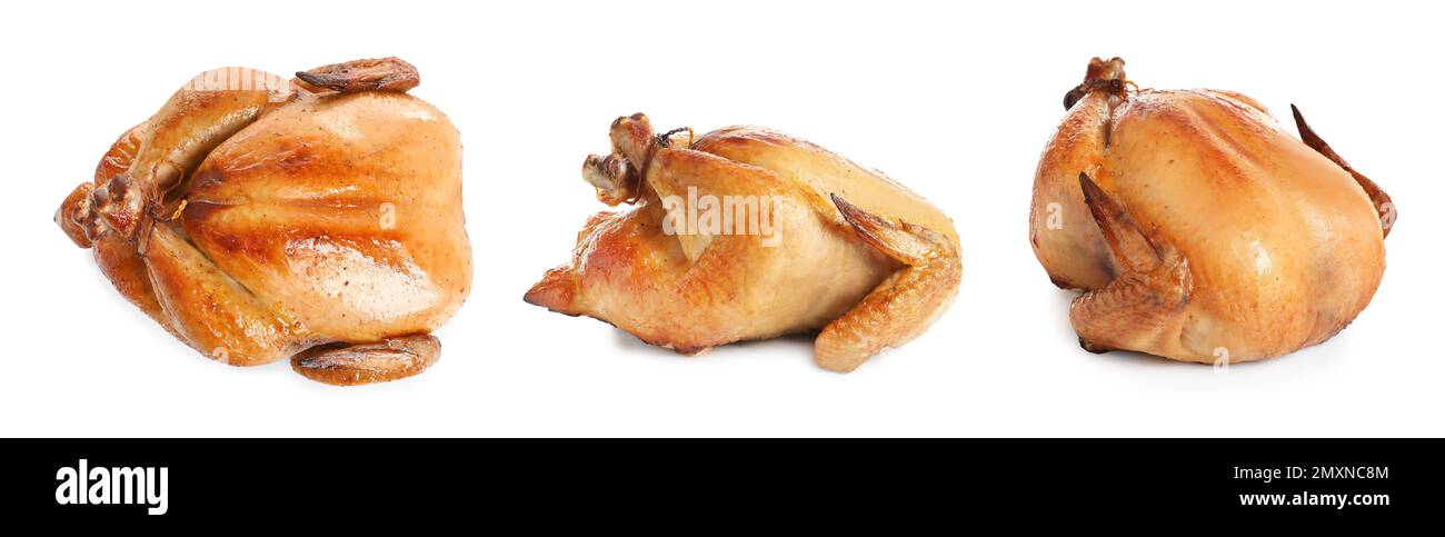 Collection of cooked turkey on white background. Banner design Stock ...