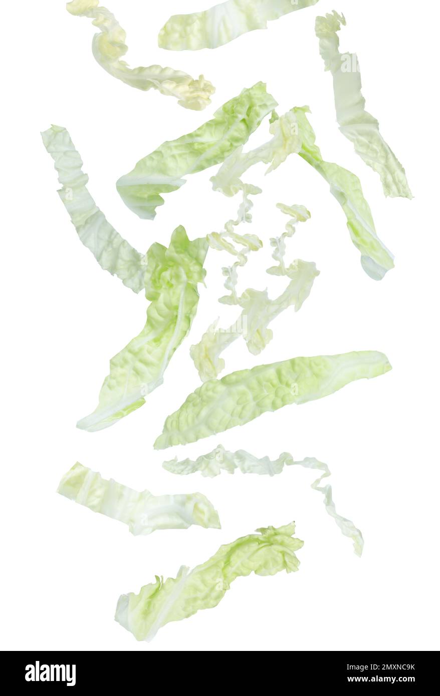 Fresh cut Chinese cabbage leaves falling on white background Stock ...
