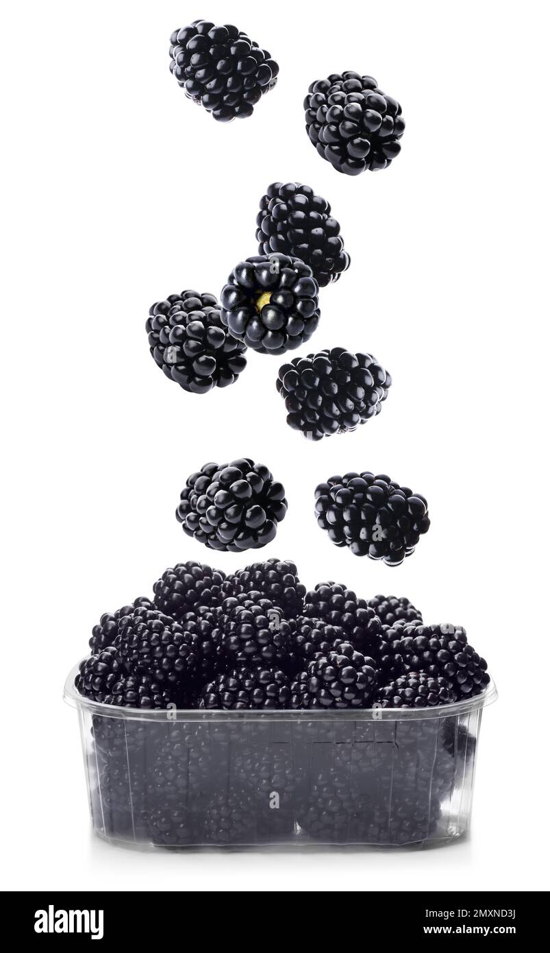 Fresh tasty blackberries falling into container on white background ...