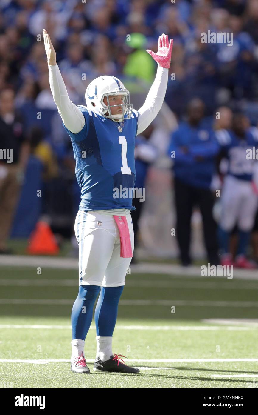 Indianapolis Colts punter Pat McAfee (1) celebrates a field goal by ...