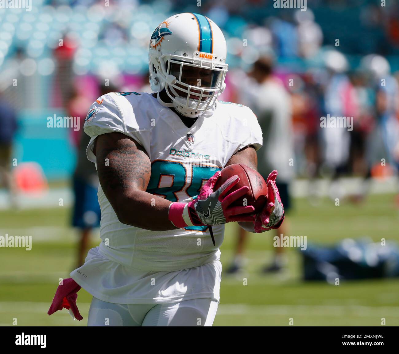 Miami Dolphins tight end Dominique Jones (85) warms up before an NFL ...
