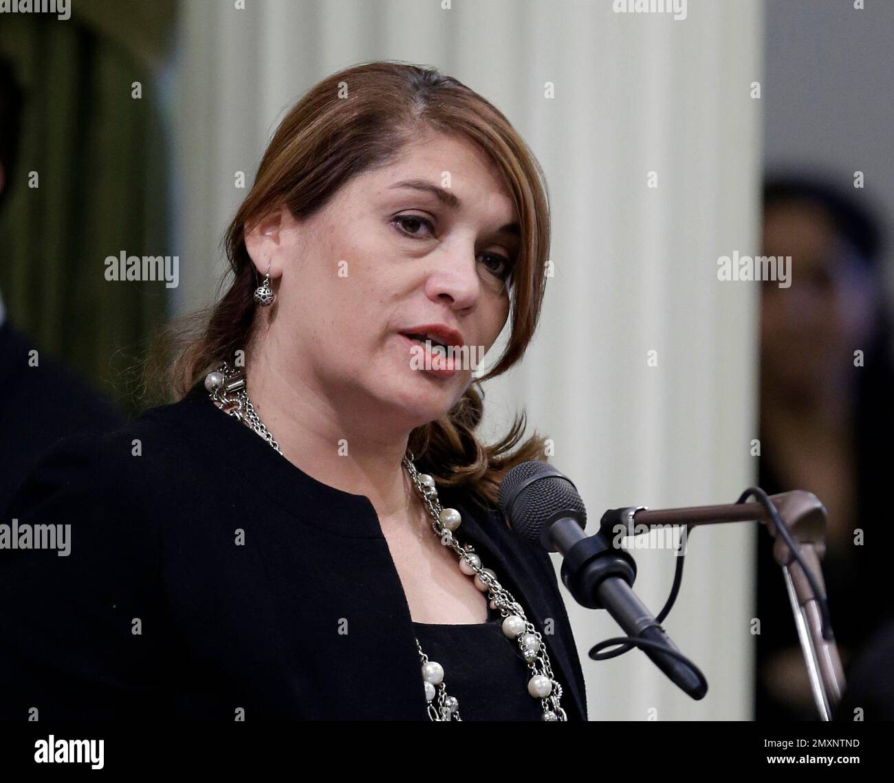 FILE - In this Jan. 27, 2014 file photo, Assemblywoman Sharon Quirk ...