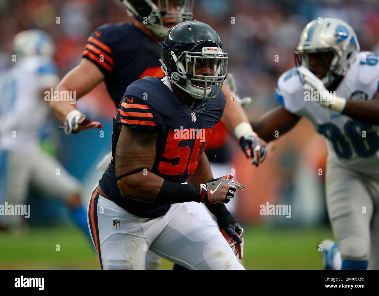 Chicago Bears inside linebacker Jerrell Freeman (50) chases down the ...