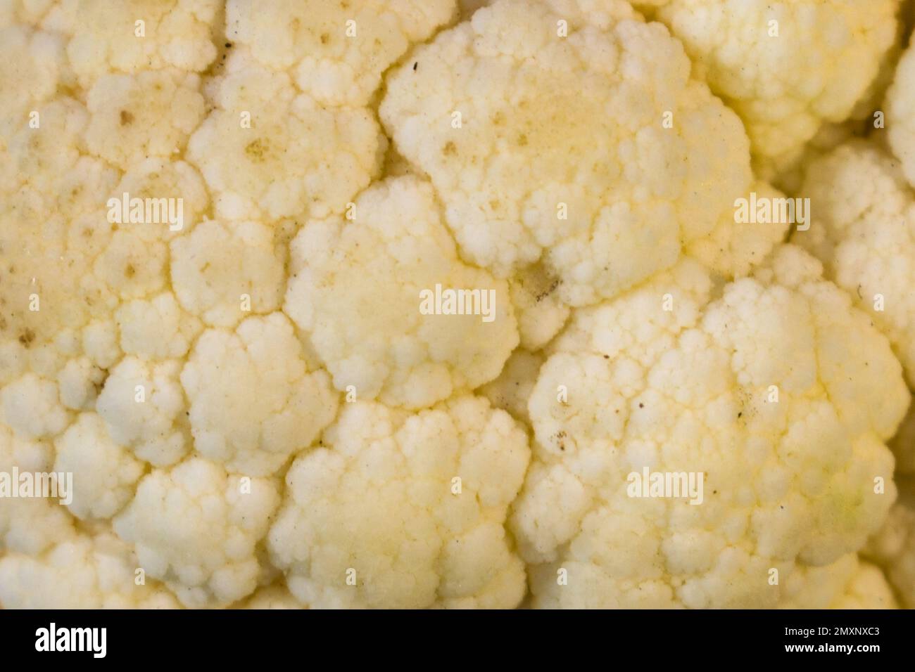 Close-up macro photo of detailed texture of ripe and organic ...