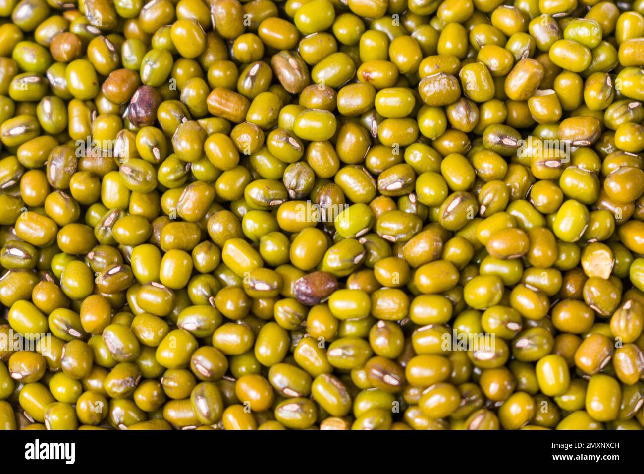 A top view texture background full of Green Gram Beans also called ...