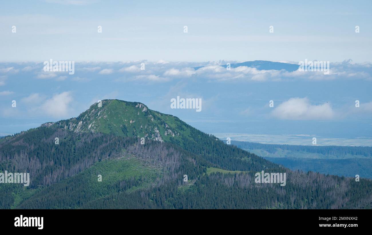 Alpine vista with green mountain and prominent peak shrouded in clouds ...
