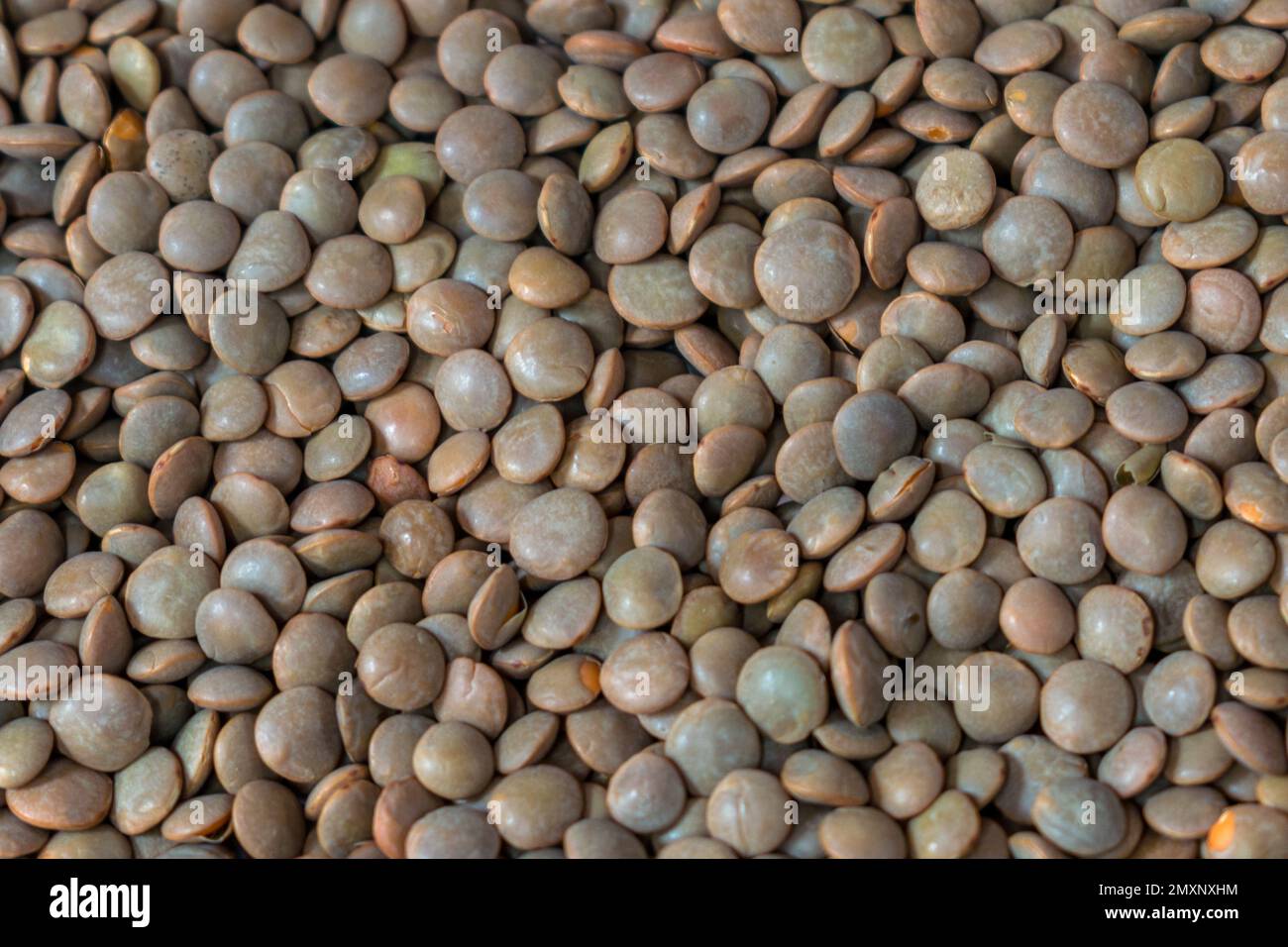 A top view texture background full of Whole Masoor Dal also called ...