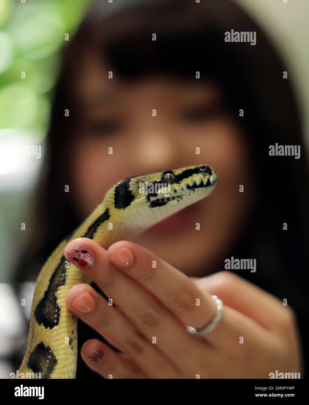 In this Sept. 30, 2016 photo, Nina Arakawa pets a snake at Tokyo’s ...