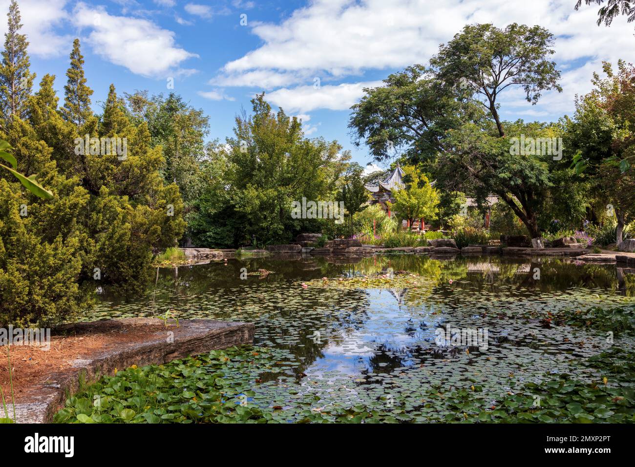 Erhai park hi-res stock photography and images - Alamy