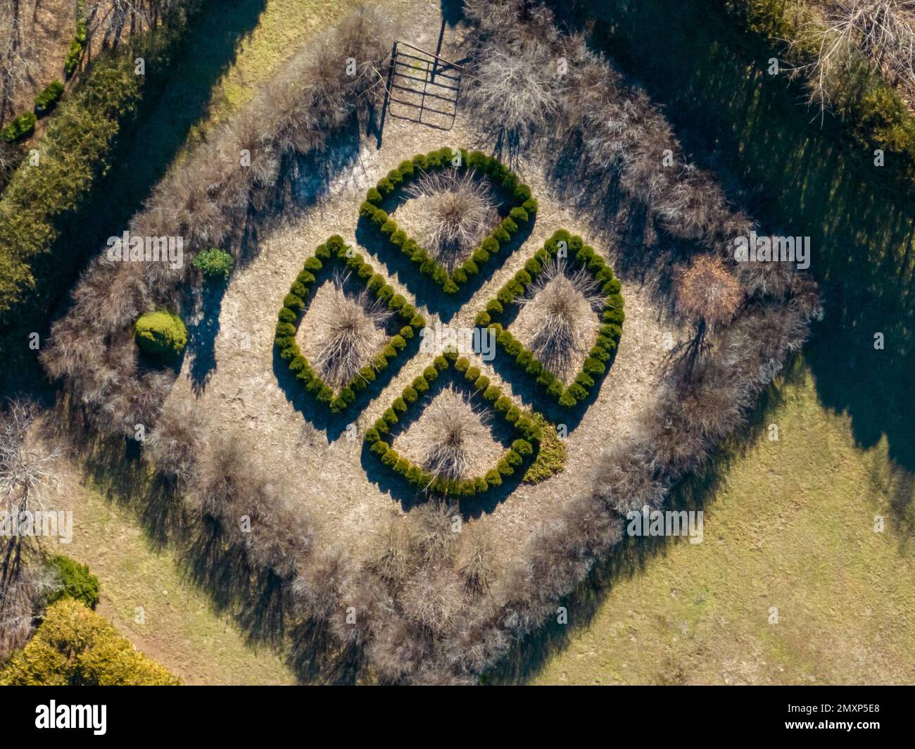 An aerial view of a square hedged maze with a four-leaf clover design ...