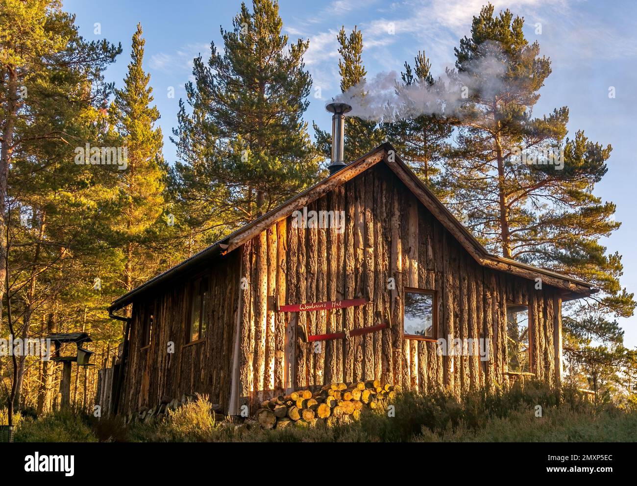 A wooden cabin with a smoking chimney in the woods Stock Photo - Alamy