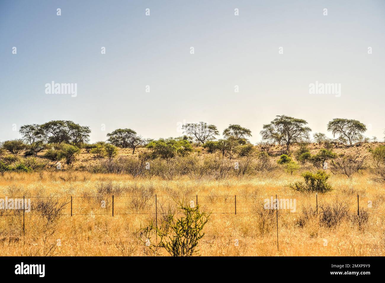 Auob River near Stampriet Stock Photo - Alamy