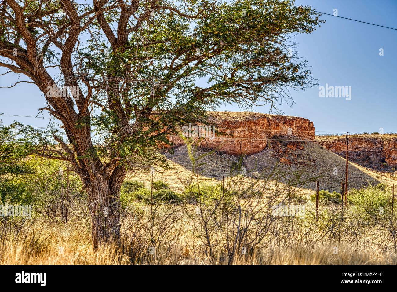 Auob River near Stampriet Stock Photo - Alamy