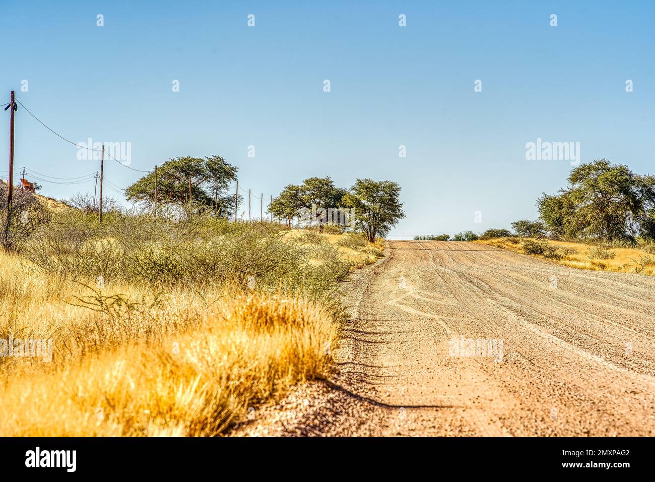 Stampriet hi-res stock photography and images - Alamy