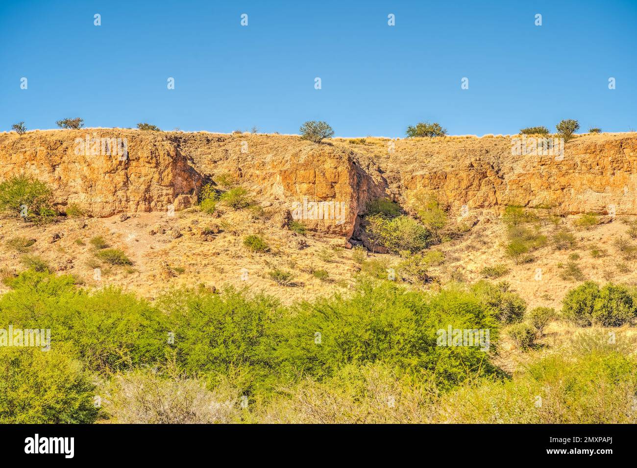 Auob River near Stampriet Stock Photo - Alamy