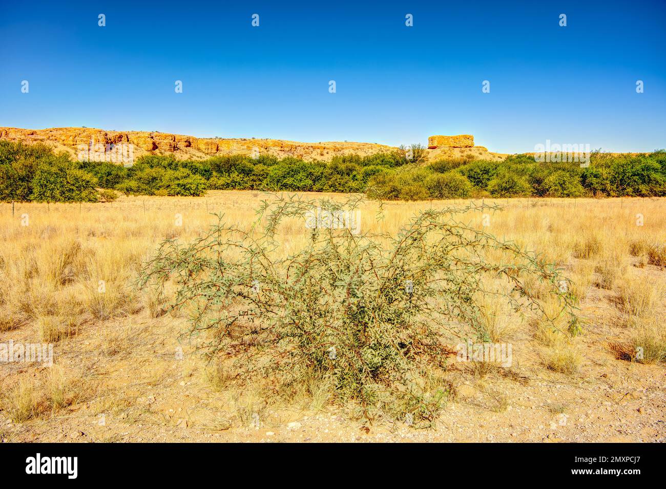 Auob River near Stampriet Stock Photo - Alamy