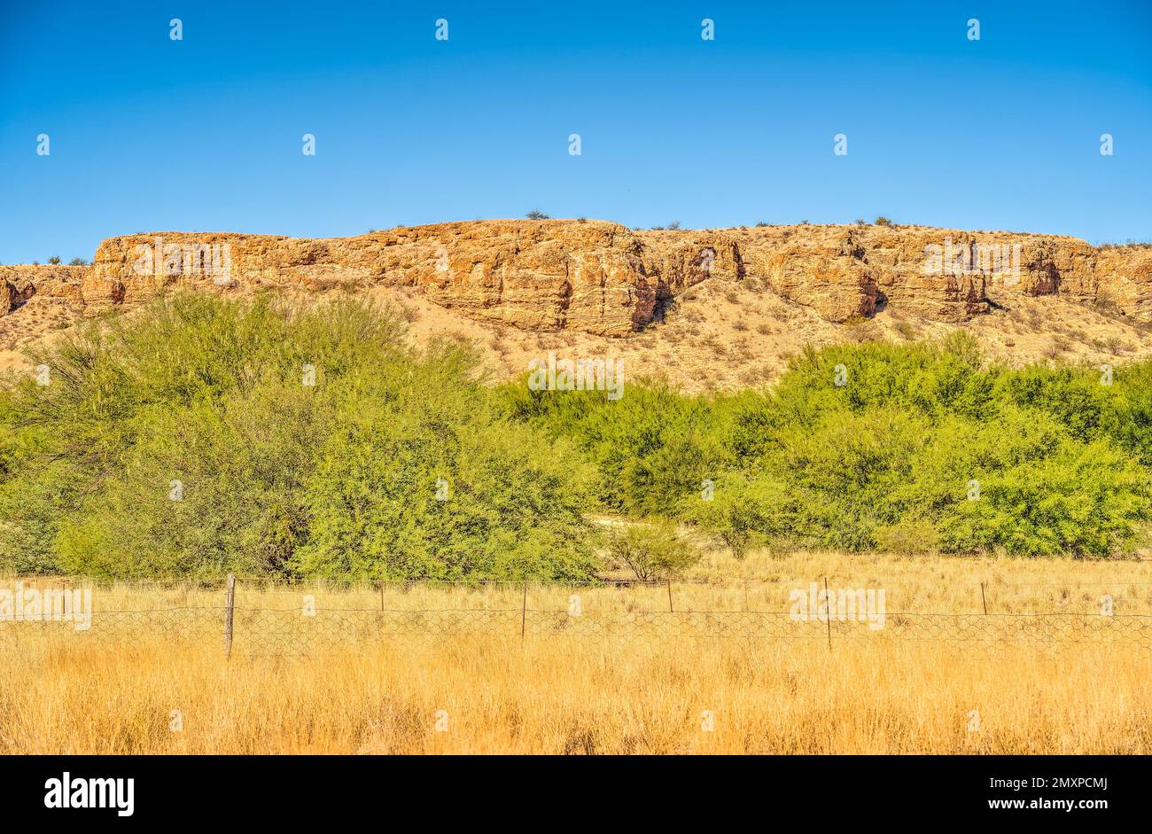 Auob River near Stampriet Stock Photo - Alamy
