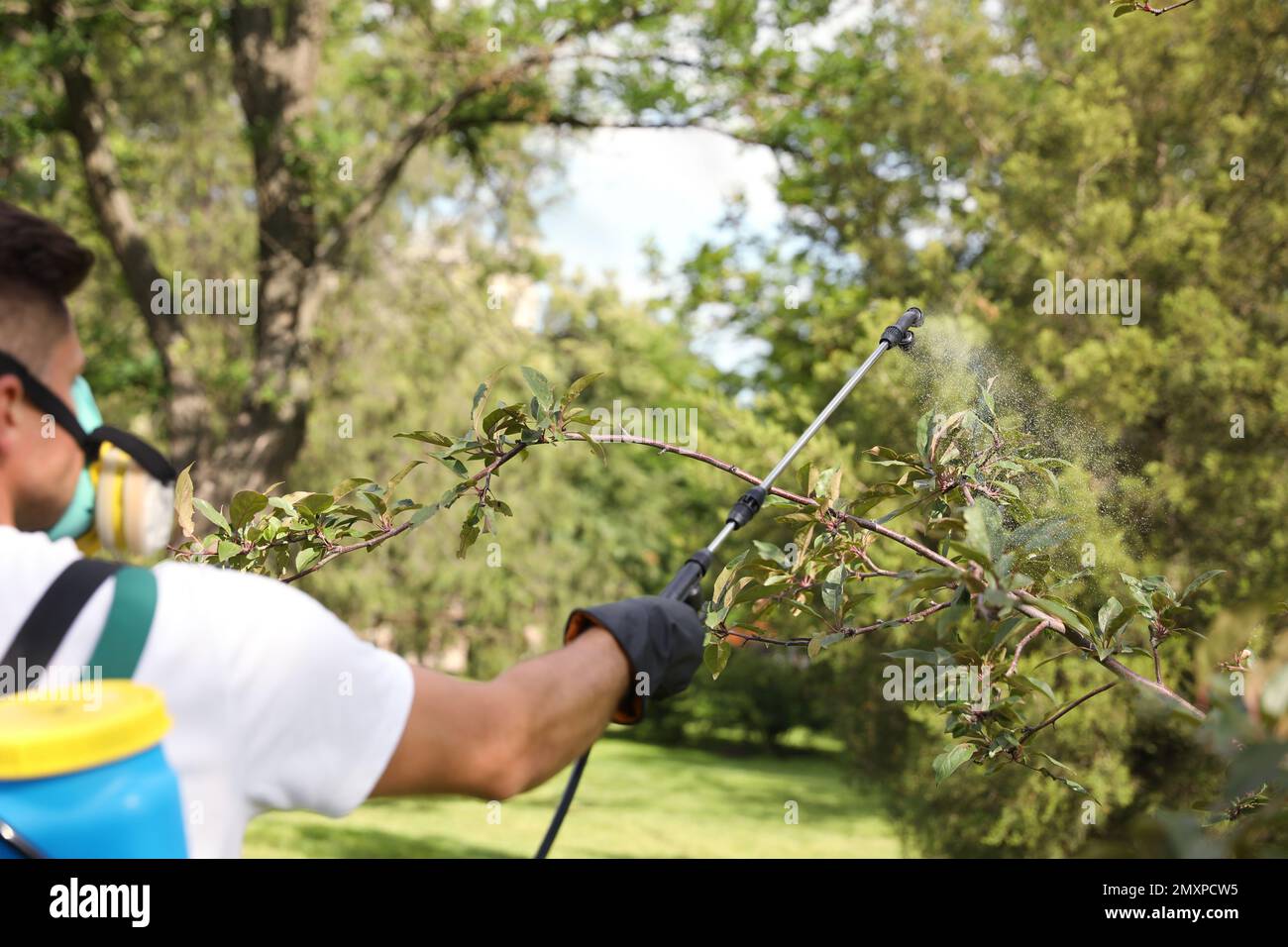 Worker spraying pesticide onto tree outdoors, closeup. Pest control ...