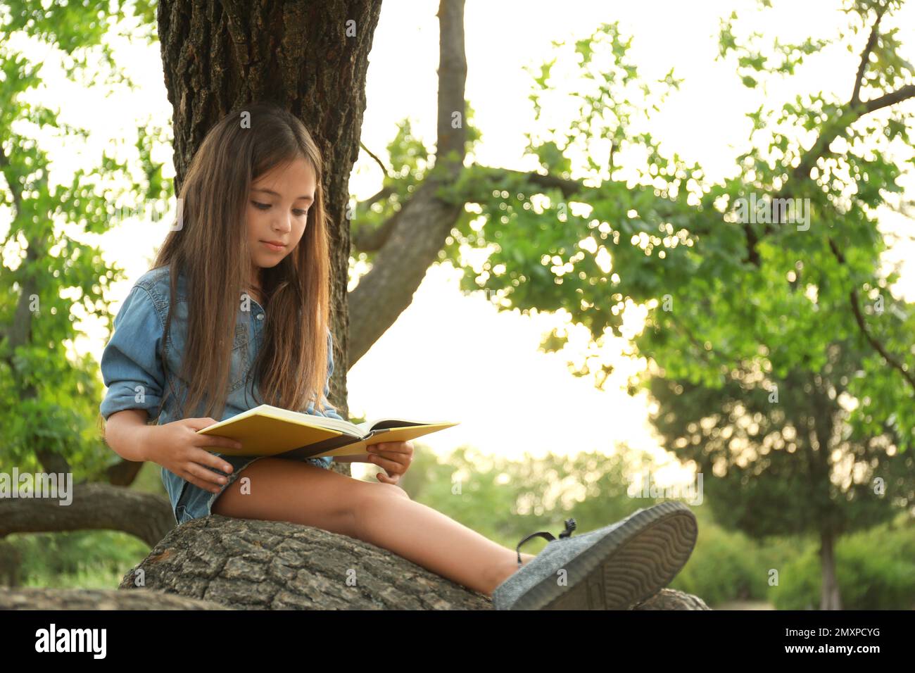 Cute little girl reading book on tree in park Stock Photo - Alamy