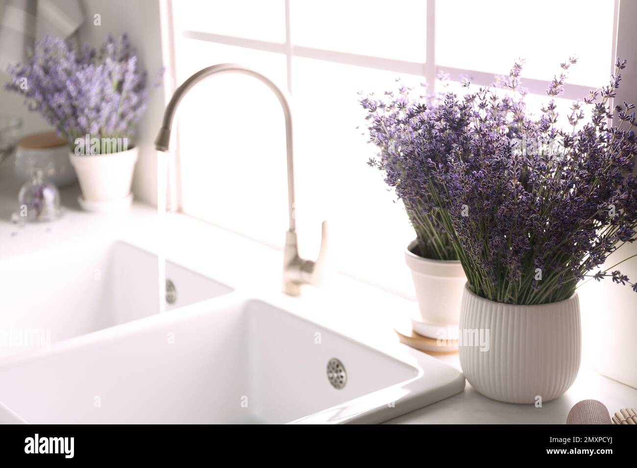 Beautiful lavender flowers on countertop near sink in kitchen Stock ...