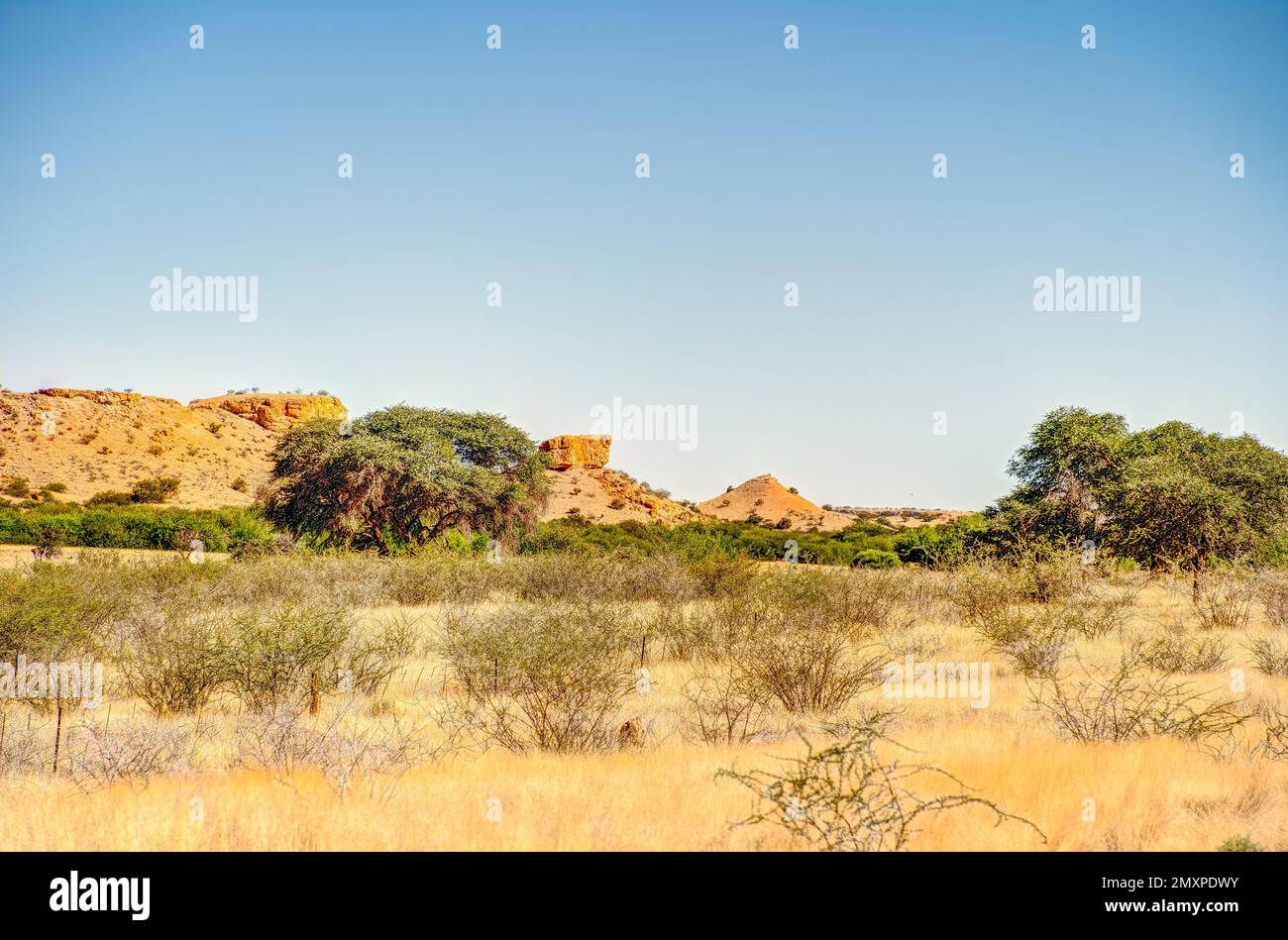 Auob River near Stampriet Stock Photo - Alamy