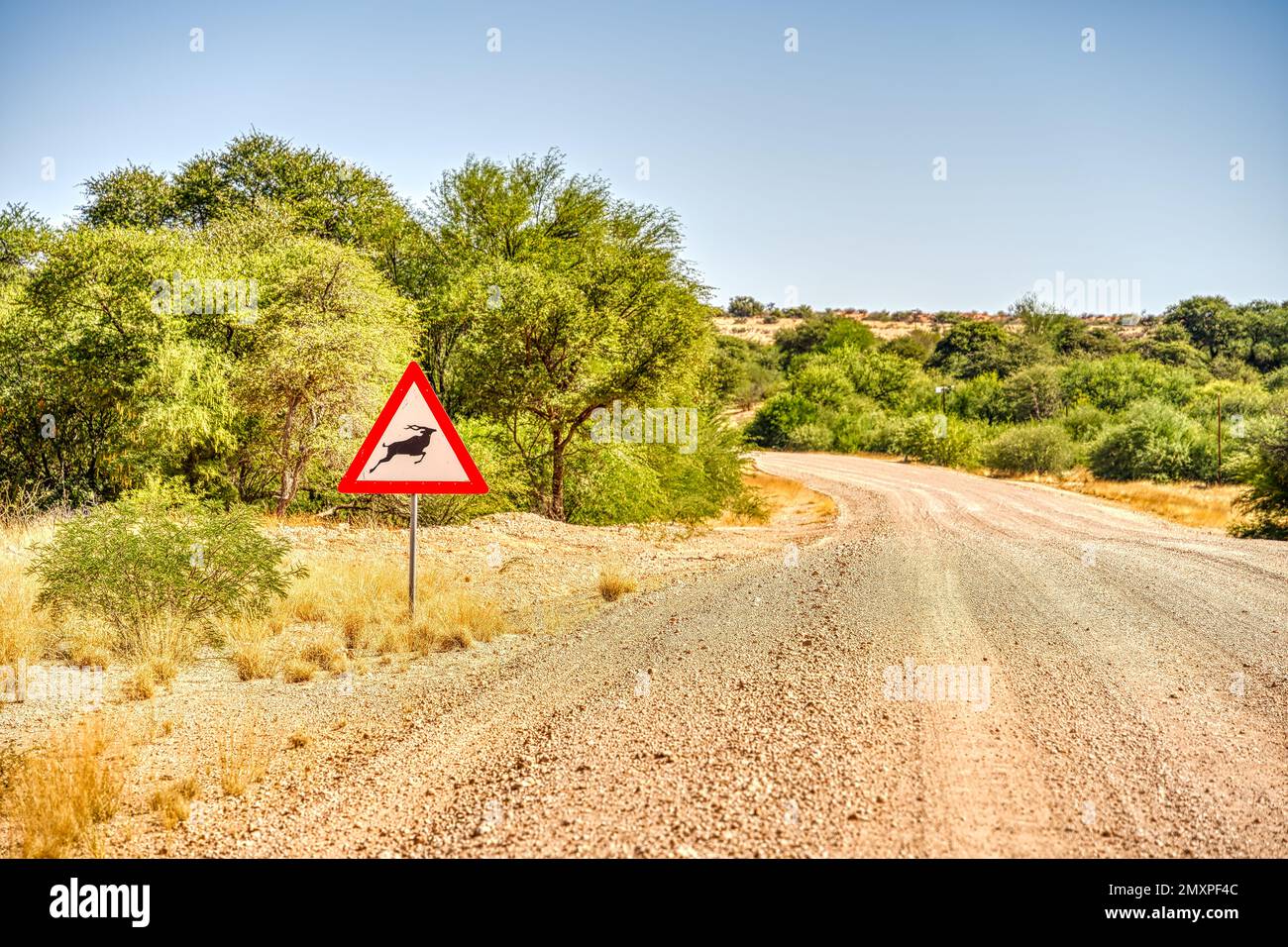 Auob River near Stampriet Stock Photo - Alamy