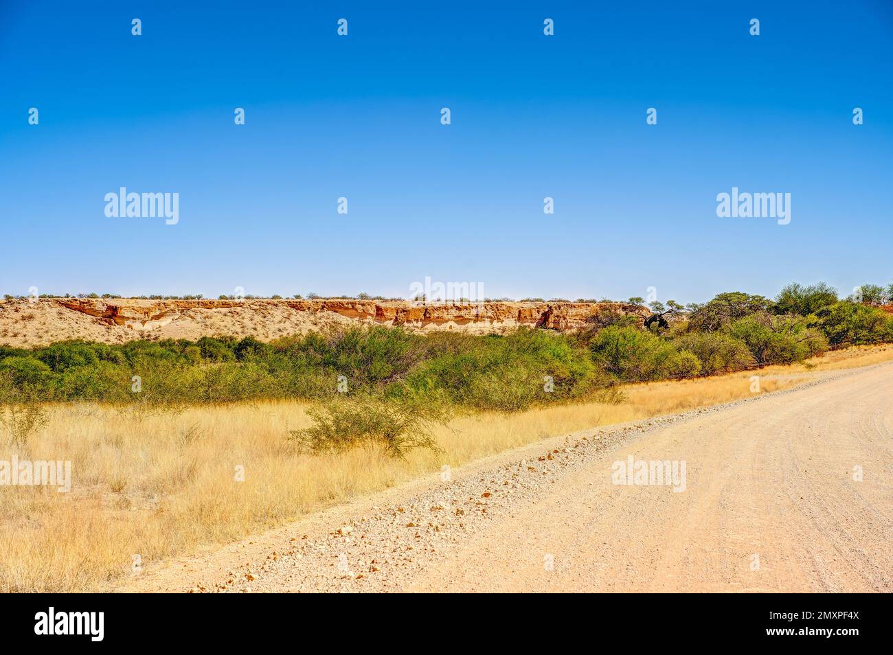 Auob River near Stampriet Stock Photo - Alamy