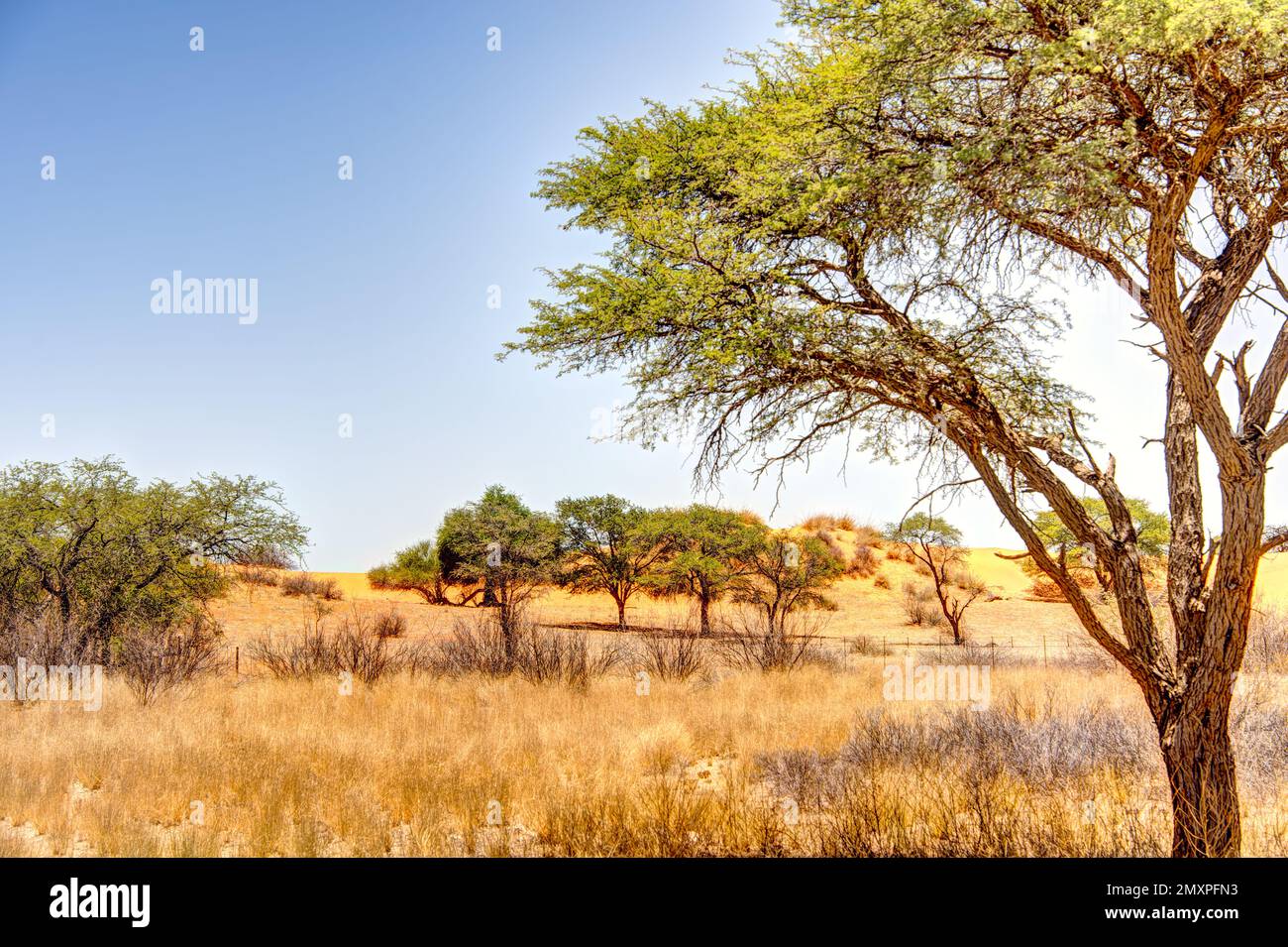 Auob River near Stampriet Stock Photo - Alamy