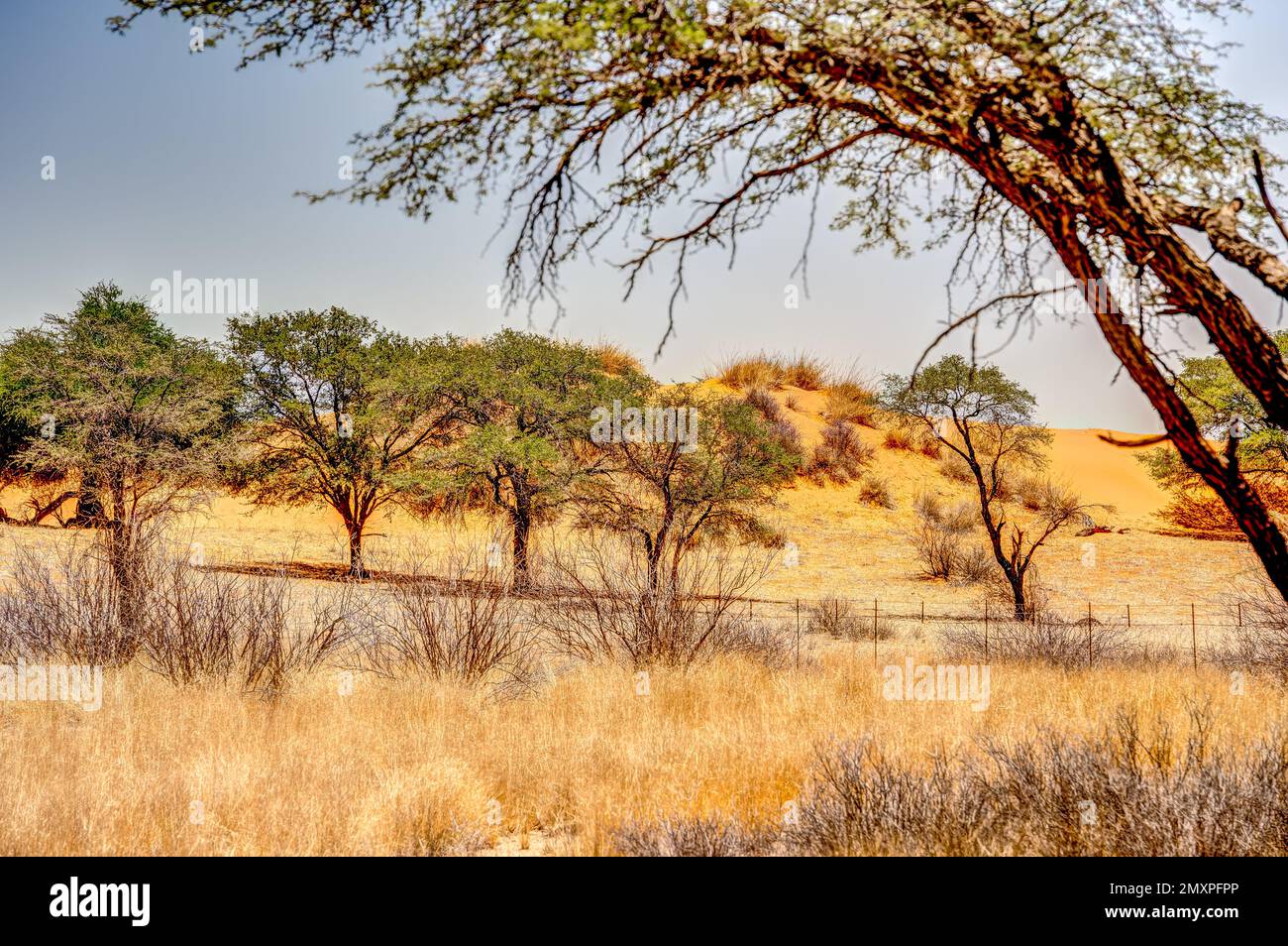 Auob River near Stampriet Stock Photo - Alamy
