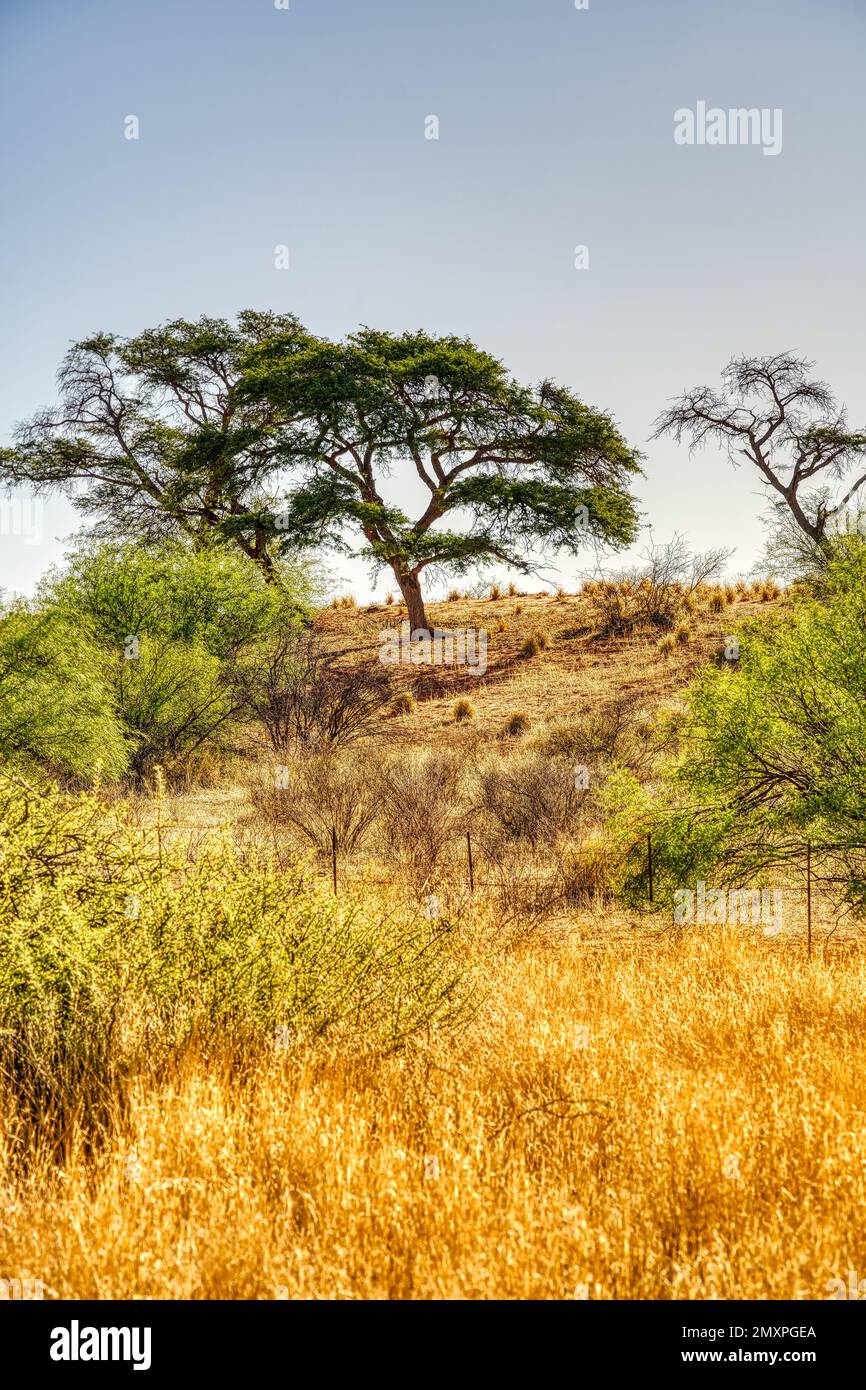 Stampriet hi-res stock photography and images - Alamy