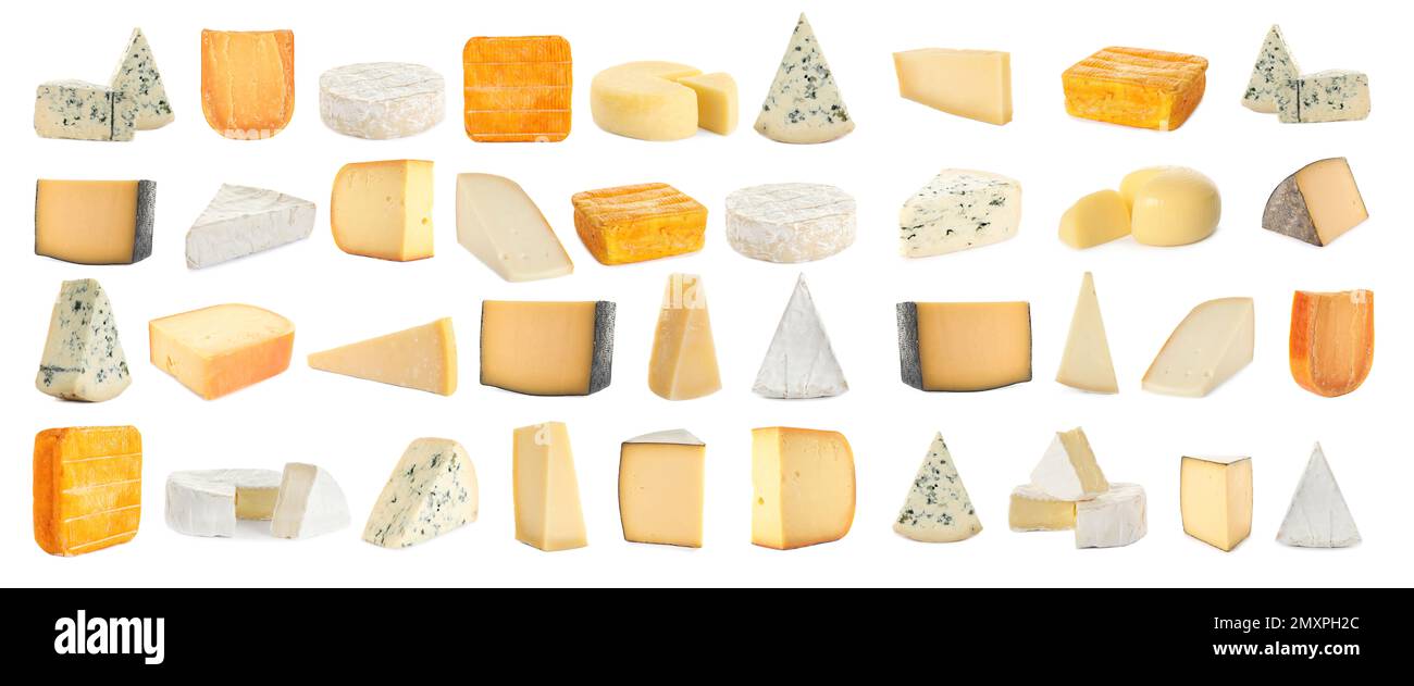 Set with different sorts of cheese on white background. Banner design ...