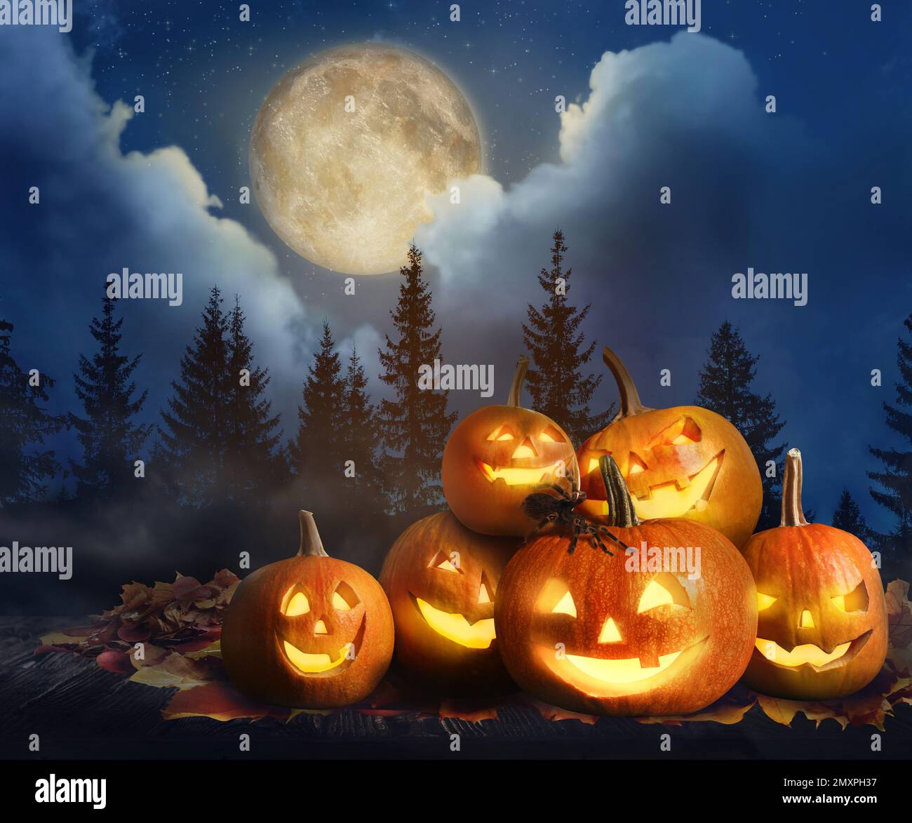 Spooky Jack O Lantern pumpkins with creepy spider in misty forest under ...