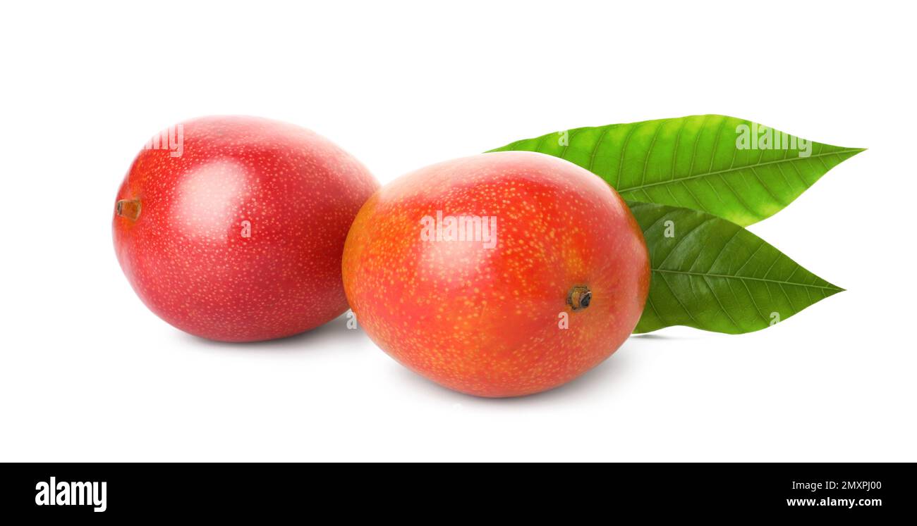 Fresh ripe mangoes with green leaves isolated on white. Exotic fruits ...