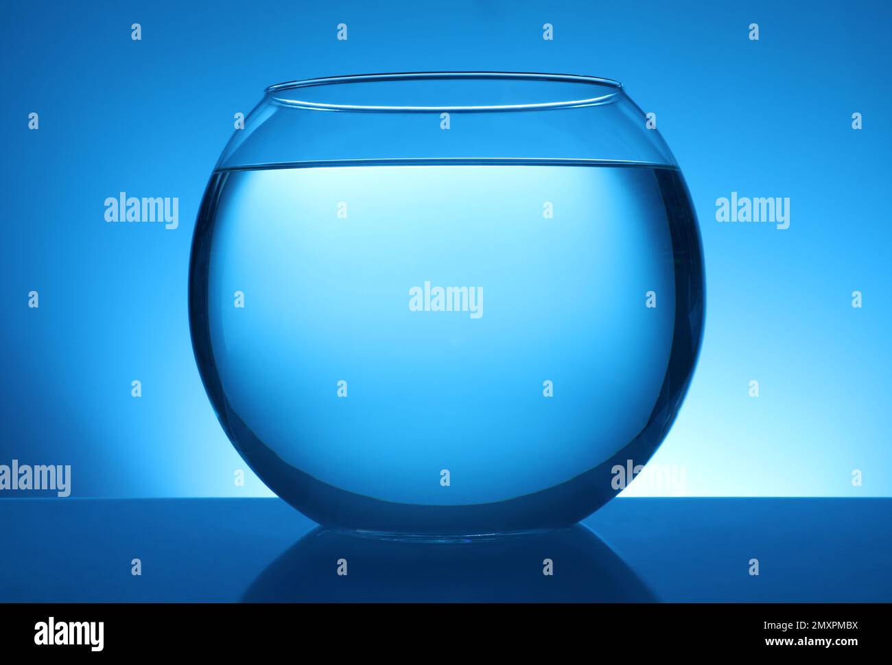 Glass fish bowl hi-res stock photography and images - Alamy