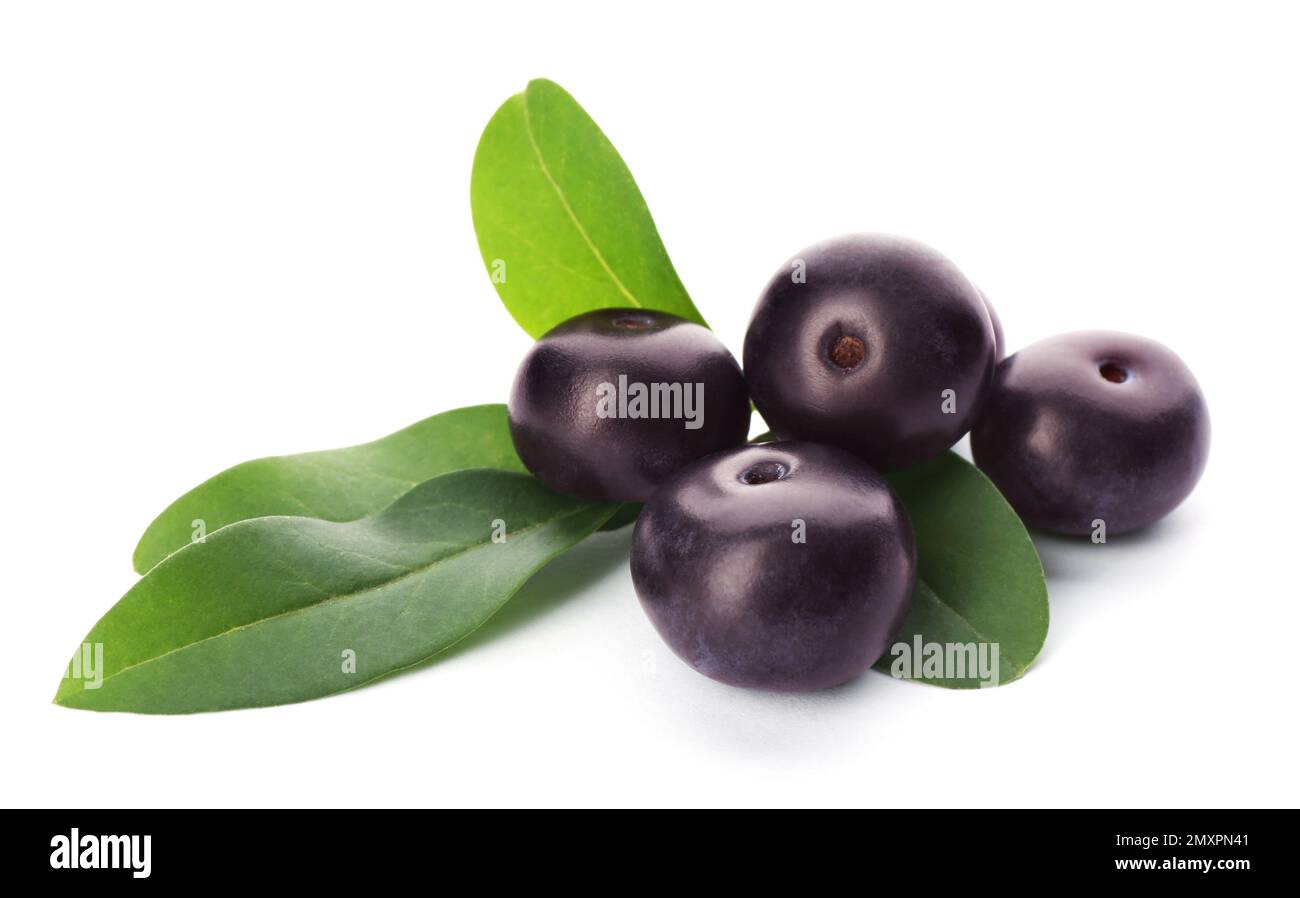 Pile of fresh acai berries with leaves isolated on white Stock Photo ...
