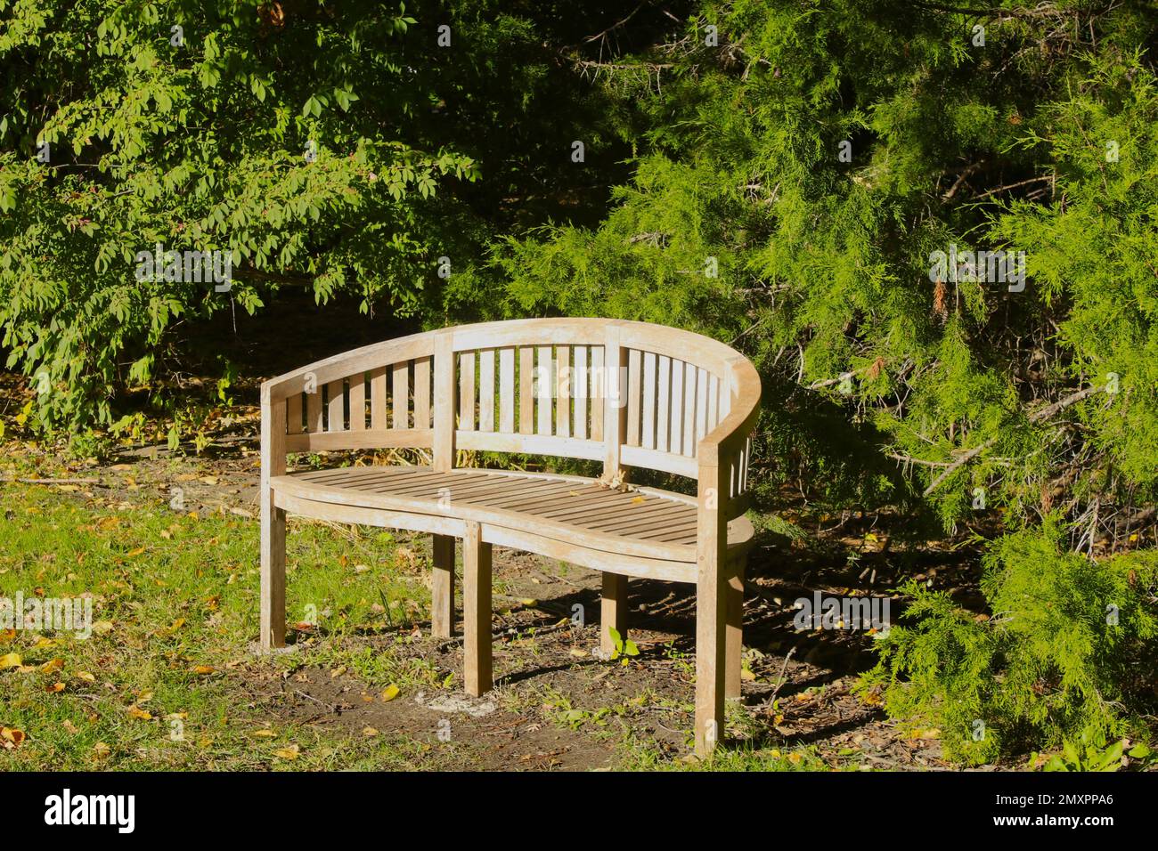 Green grass and trees hi-res stock photography and images - Alamy