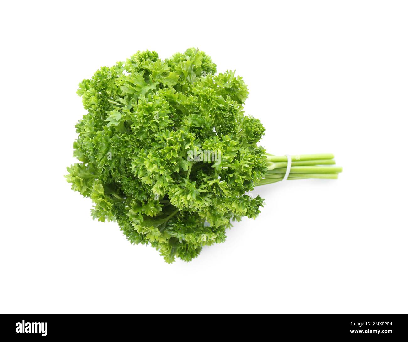 Bunch of fresh curly parsley on white background Stock Photo - Alamy