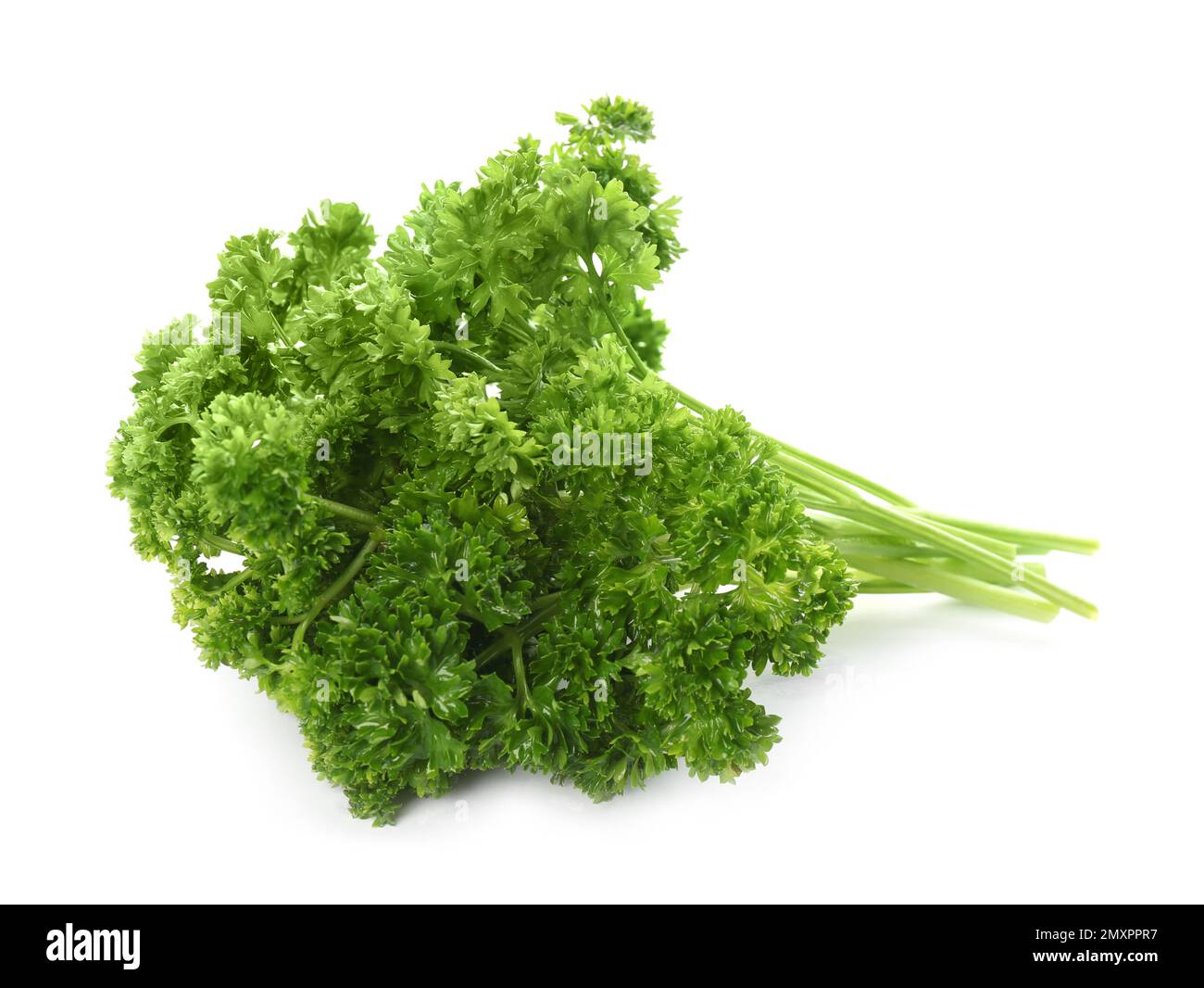 Curly parsley Cut Out Stock Images & Pictures - Alamy