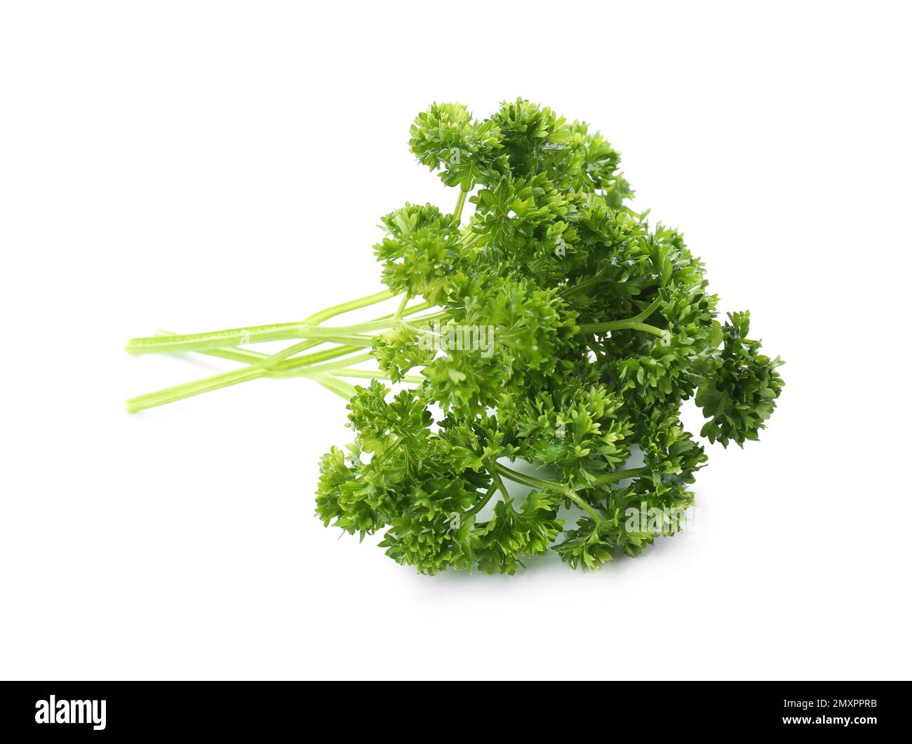 Fresh green curly parsley on white background Stock Photo - Alamy