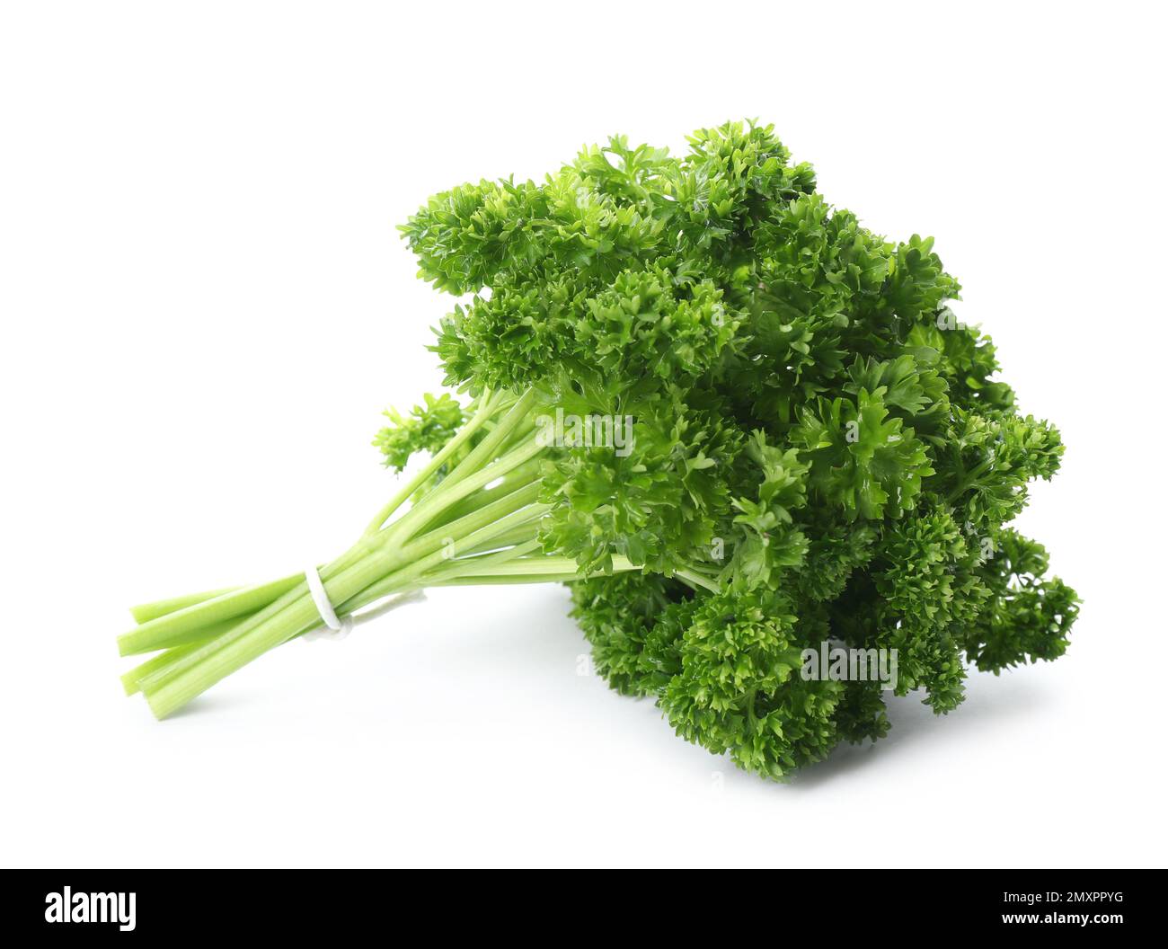 Bunch of fresh curly parsley on white background Stock Photo - Alamy