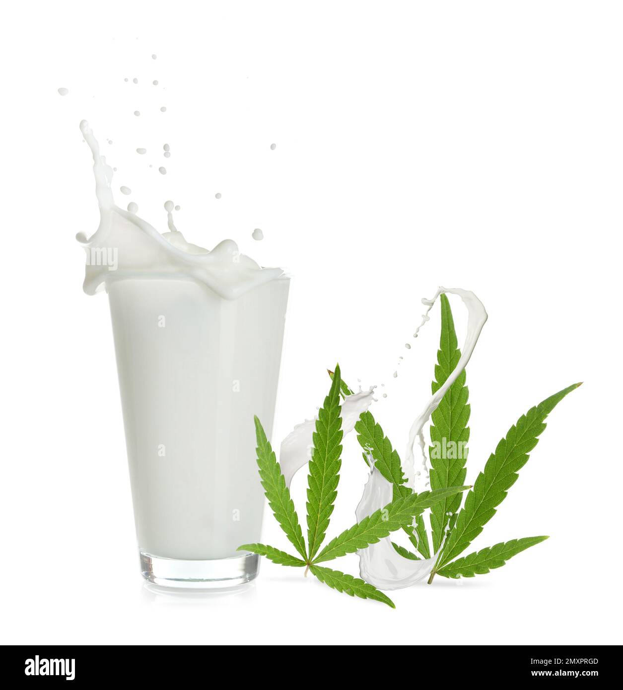 Glass of hemp milk and fresh leaves on white background Stock Photo - Alamy