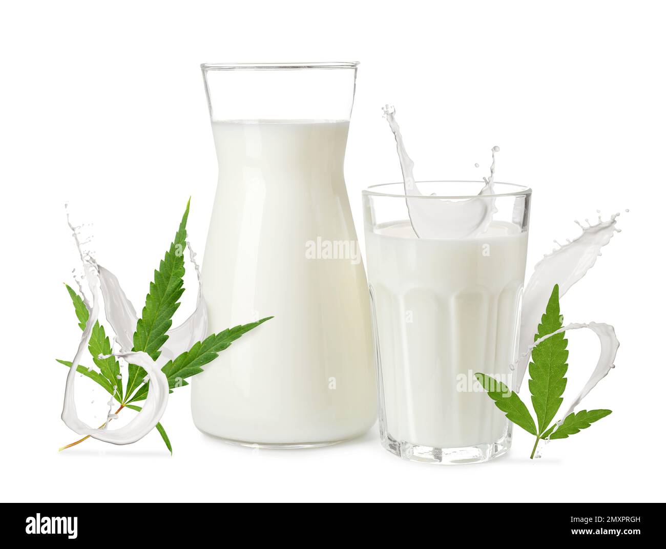 Hemp milk and fresh leaves on white background Stock Photo - Alamy