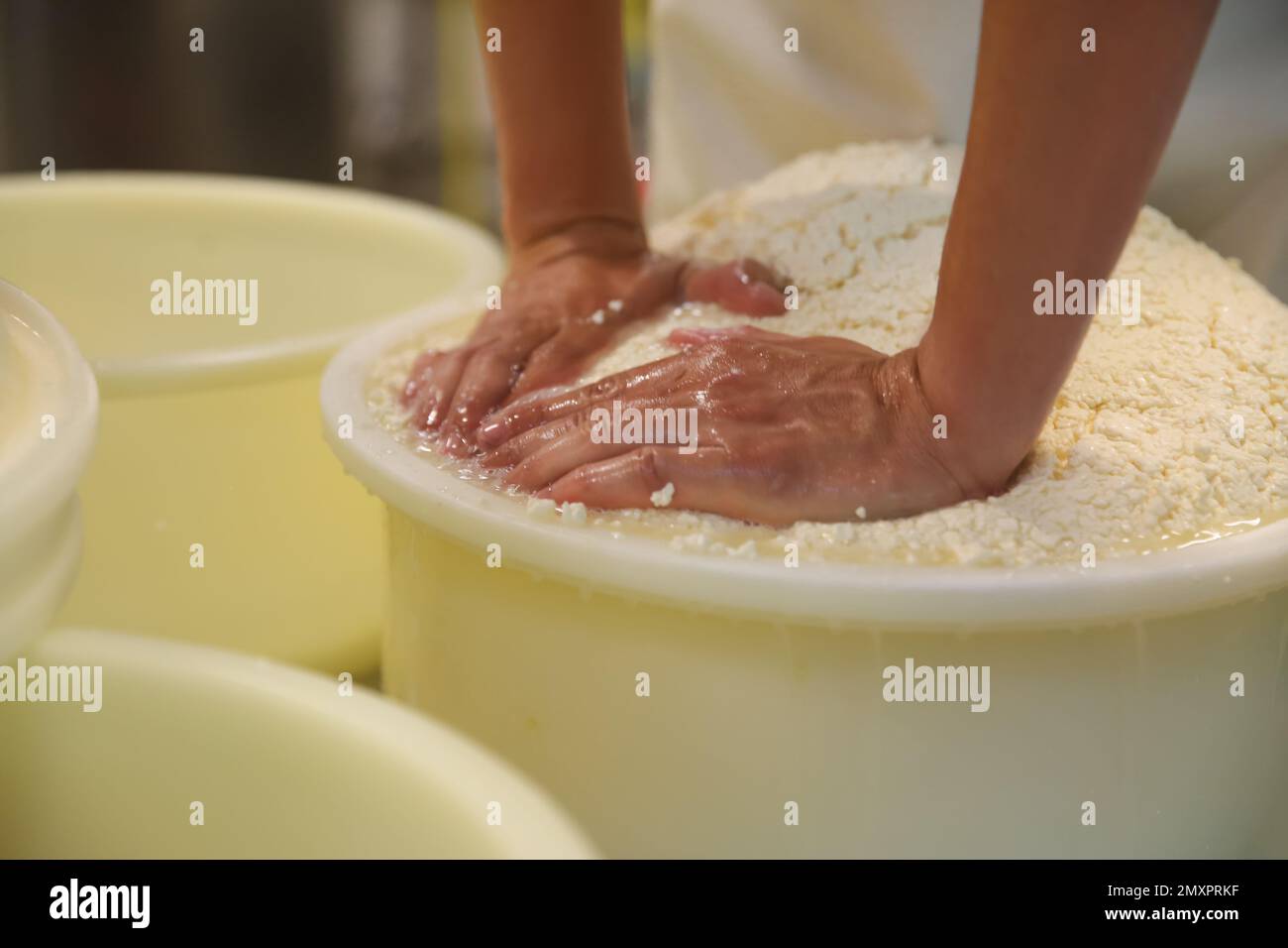 Mould and cheesemaking hi-res stock photography and images - Alamy