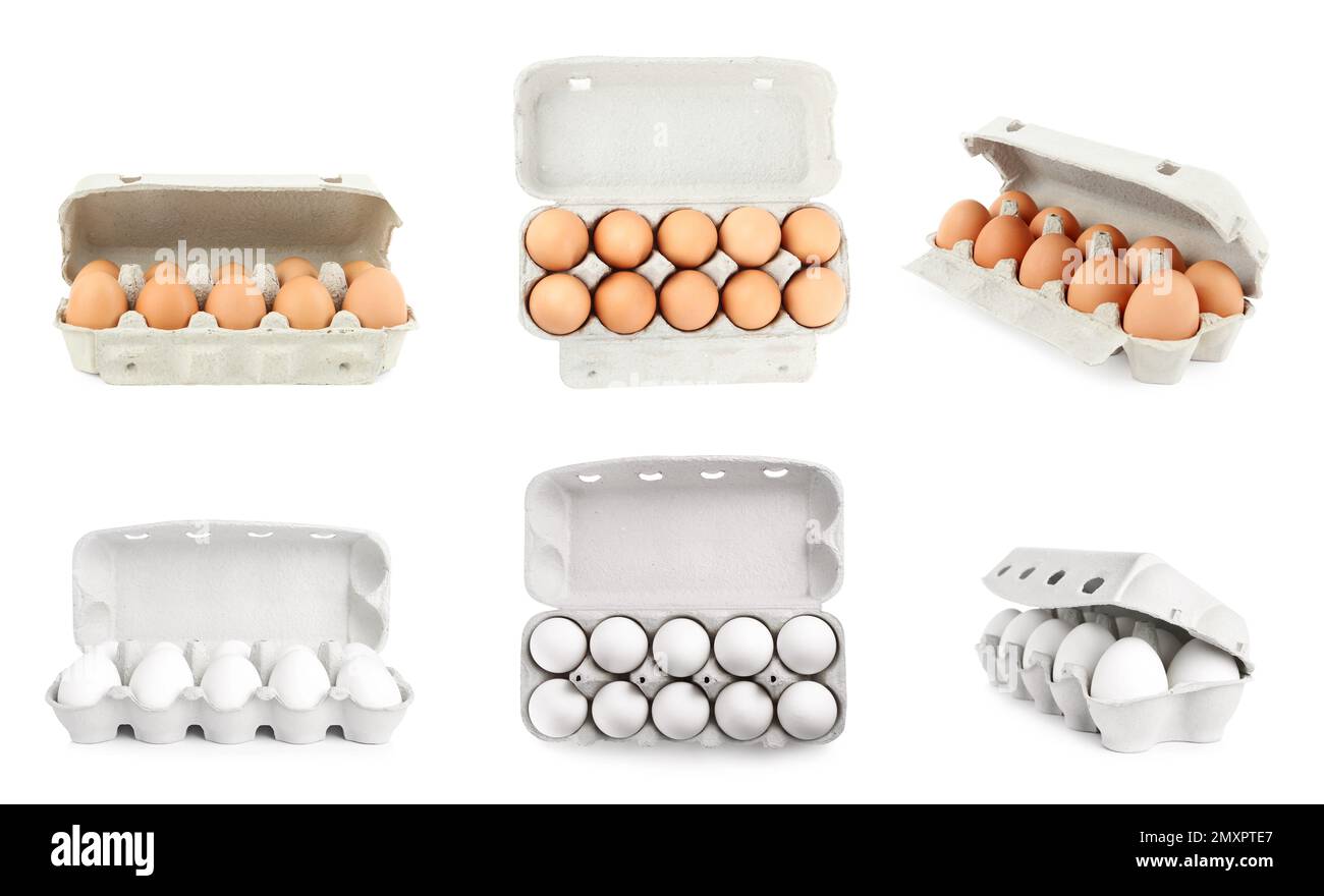 Side view set fresh Cut Out Stock Images & Pictures - Alamy