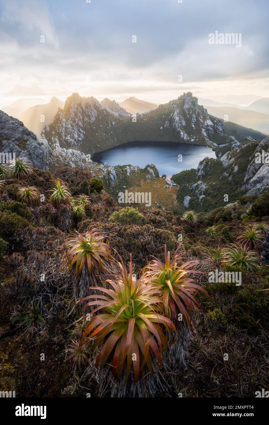 Sunrise over Lake Oberon in Tasmania's Southwest national park (part of ...